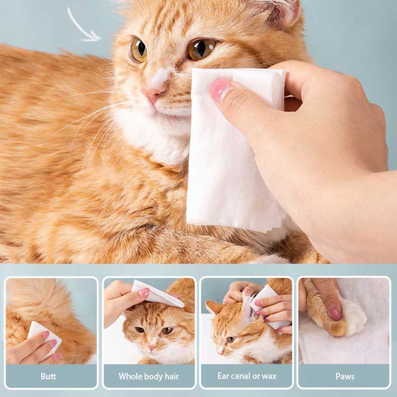 Latest Pet Care Wipes Manufacturers | Puppy Grooming Wet Wipes