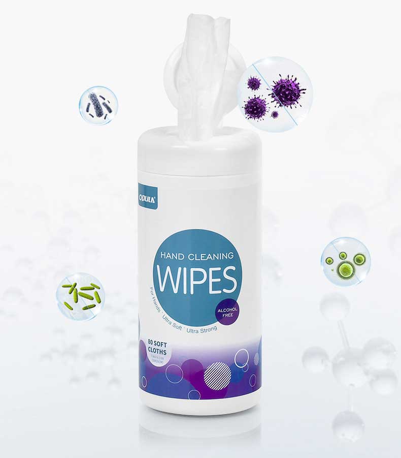 Hand Sanitizing Cleaning Wet Wipes Antibacterial-China supplier
